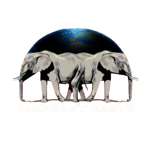 What We Do – Elephant Earth
